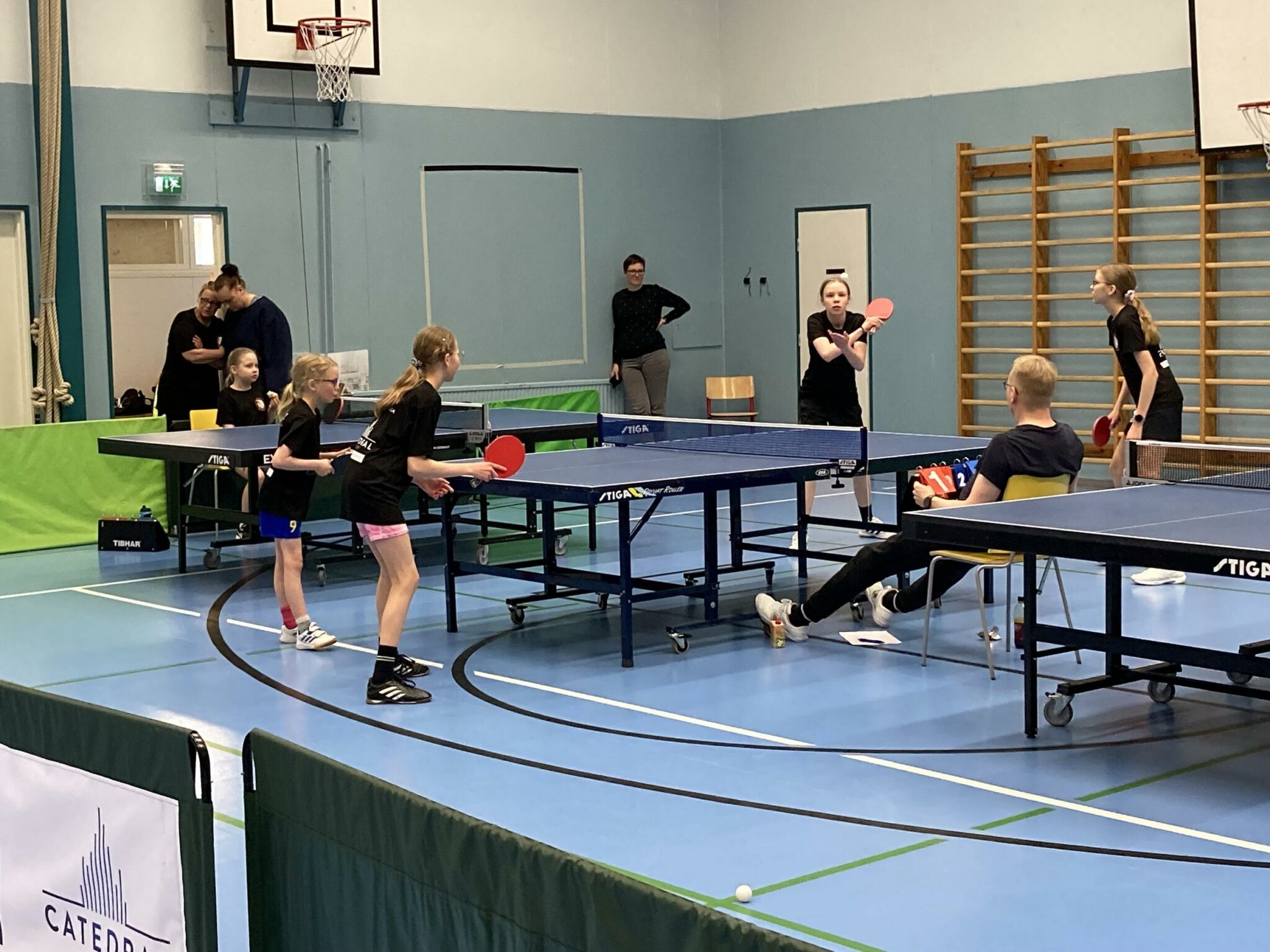 Aloita pingis! | Suomen Pöytätennisliitto